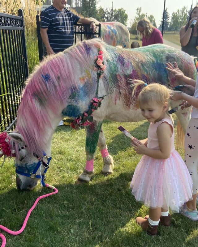 Gallery - My Pony Party