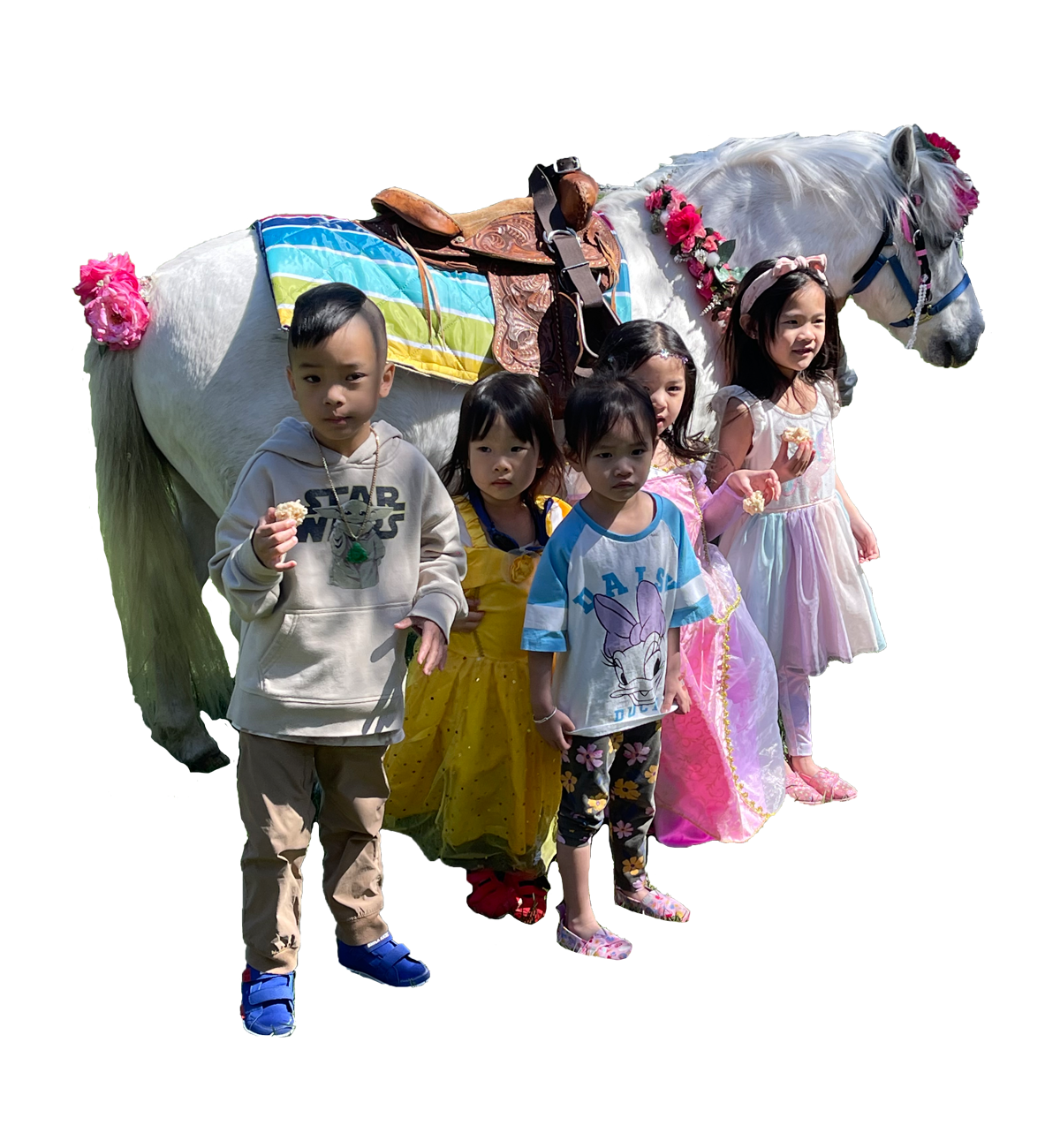 Children's Party & Pony Ride Service - My Pony Party